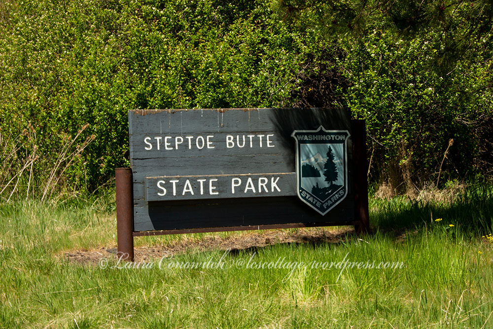Steptoe Butte and Steptoe Battlefield | LC's Cottage