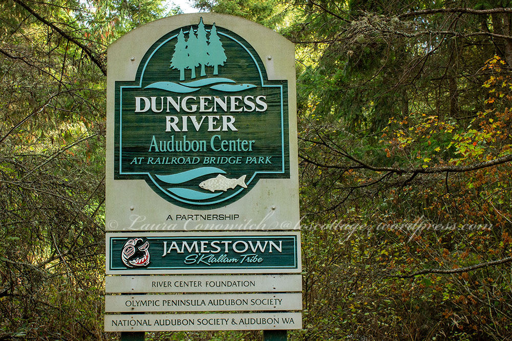 Sequim Railroad Bridge and Dungeness Recreation Area | LC's Cottage